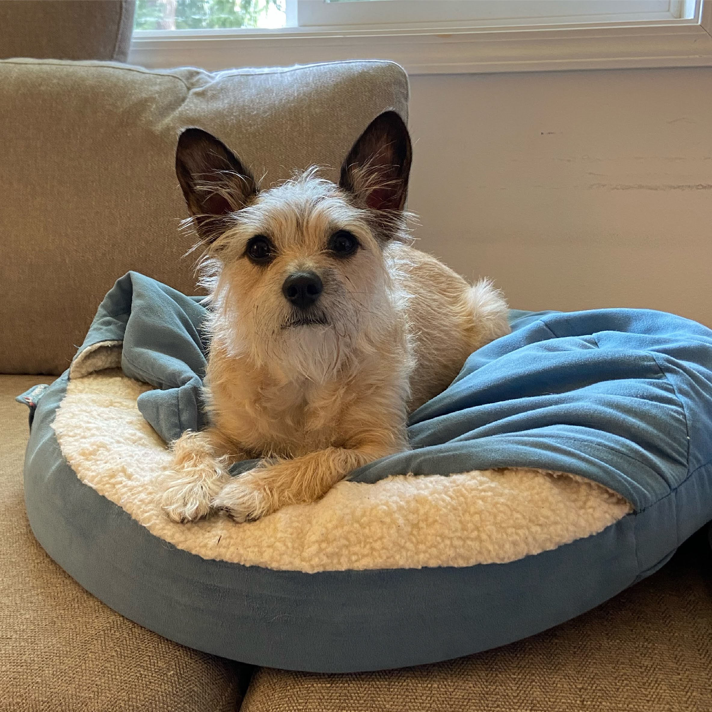 tackyspoons – Crafts, content strategy, flatware, and dogs. Not ...