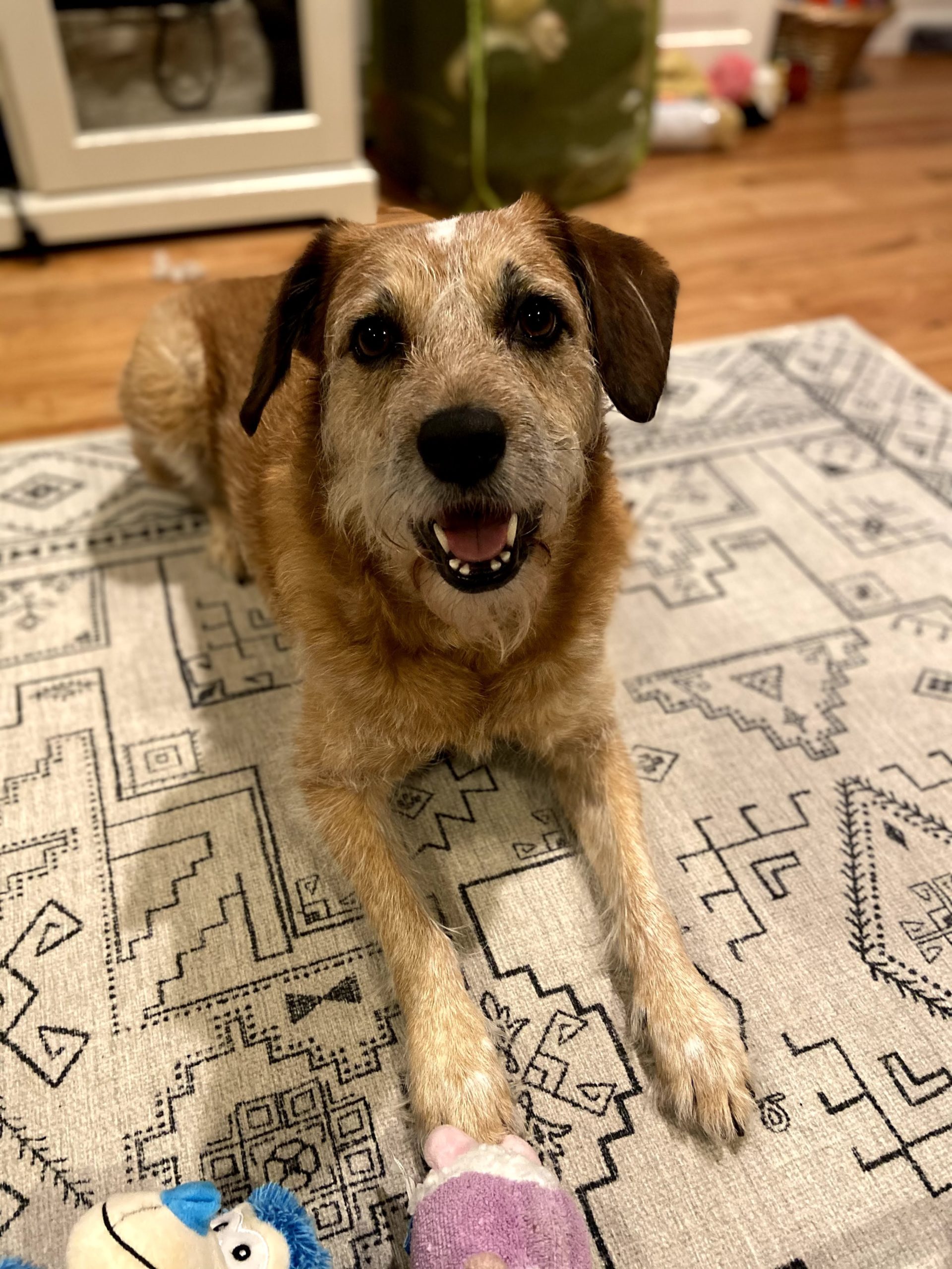 tackyspoons – Crafts, content strategy, flatware, and dogs. Not ...